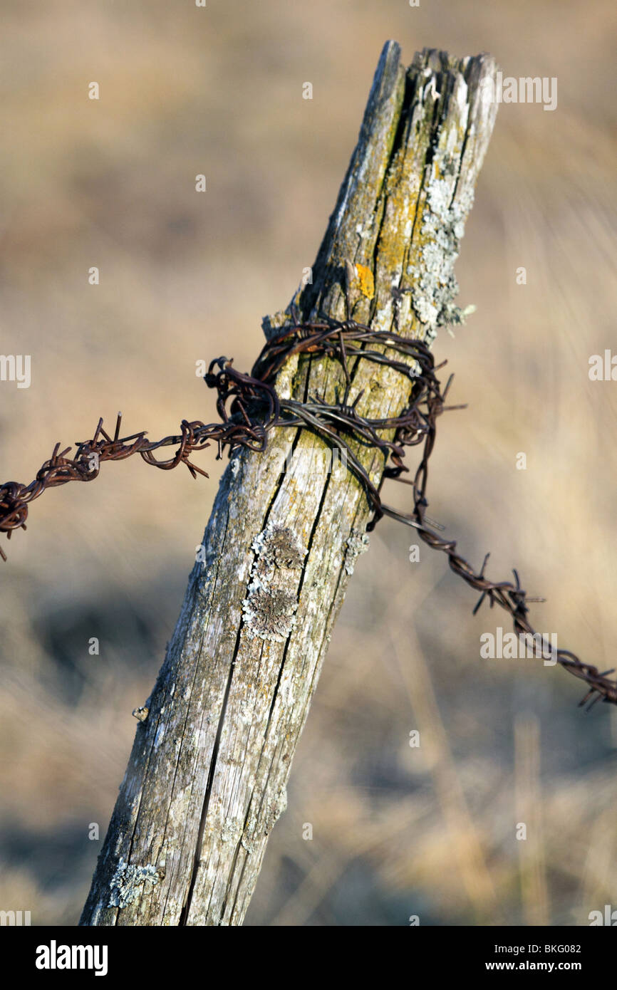 Fence post with barbed wire on field Stock Photo - Alamy