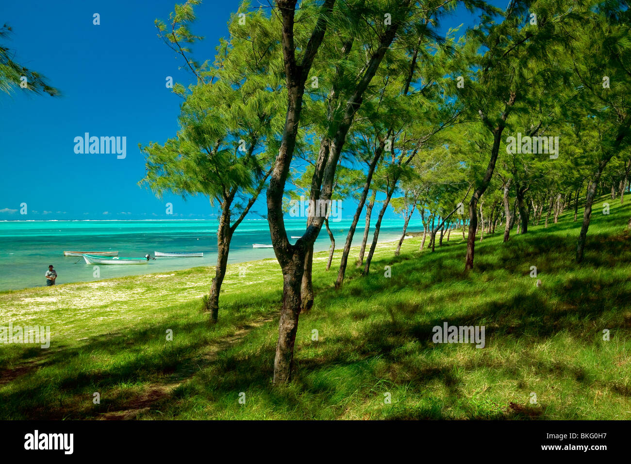 GRAVIER, RODRIGUES ISLAND, MAURITIUS REPUBLIC Stock Photo - Alamy