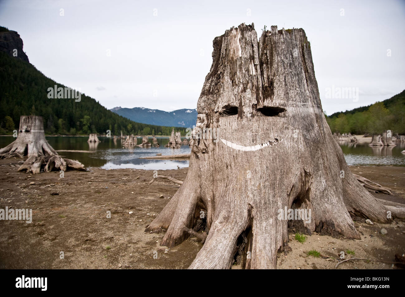 A smiley face on a tree trunk by a lake Stock Photo - Alamy