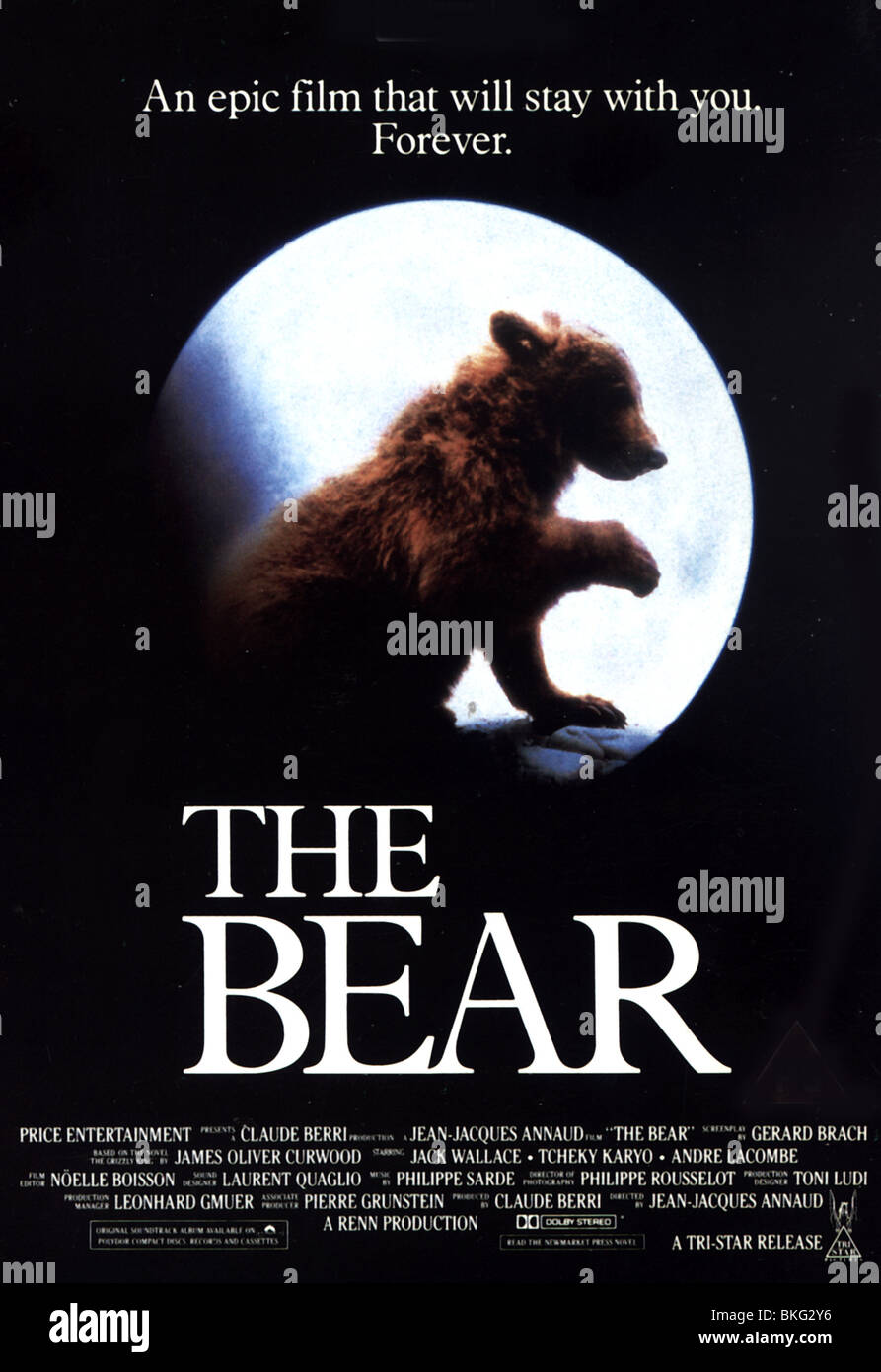 THE BEAR -1989 POSTER Stock Photo - Alamy