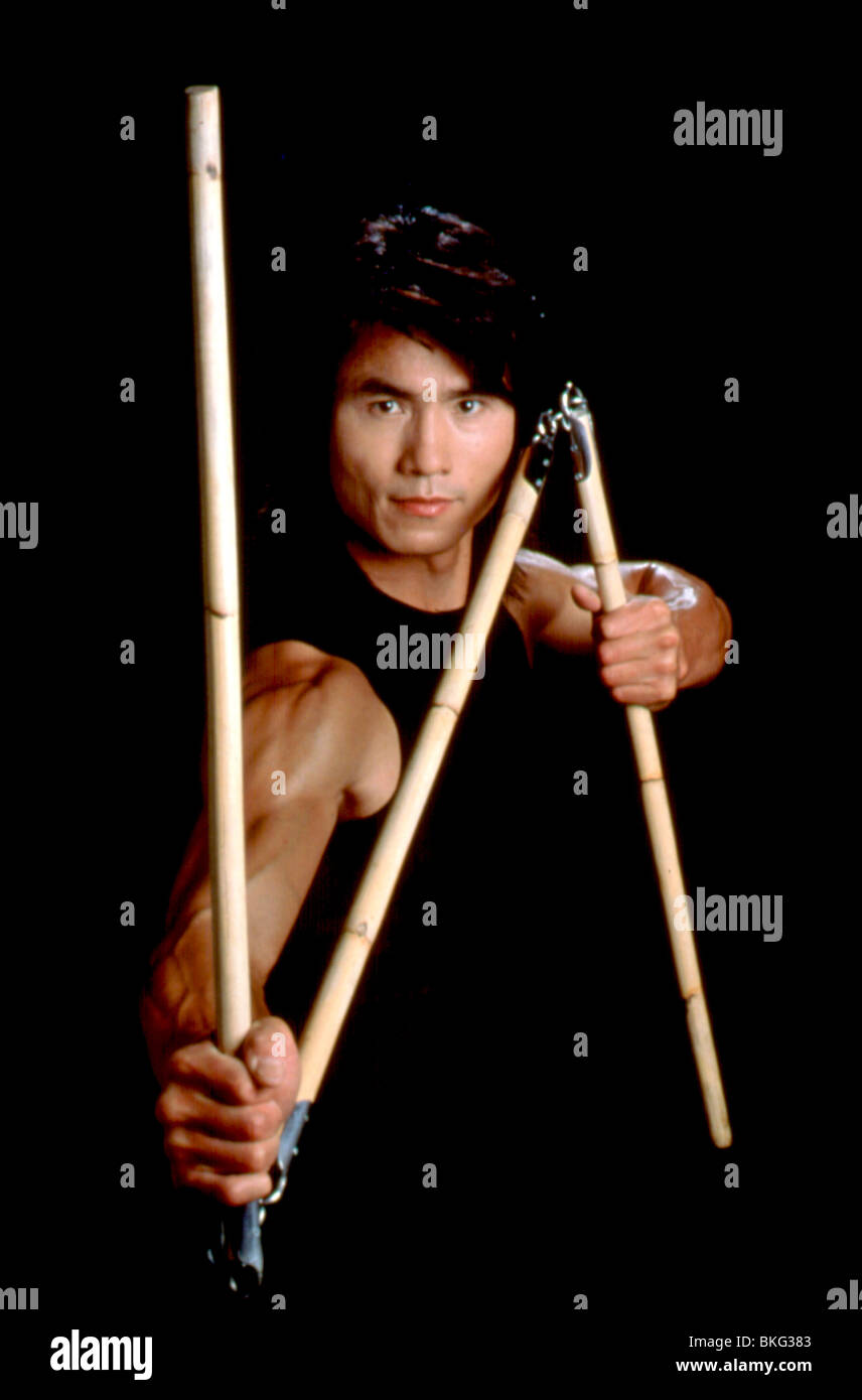 BEVERLY HILLS NINJA (1997) ROBIN SHOU BEVH 015 Stock Photo - Alamy