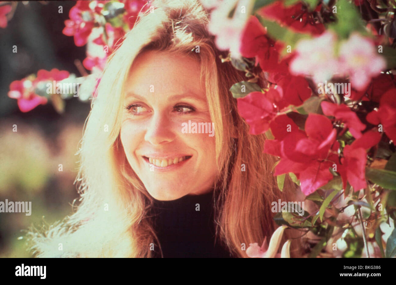 Bewitched elizabeth montgomery hi-res stock photography and images - Alamy