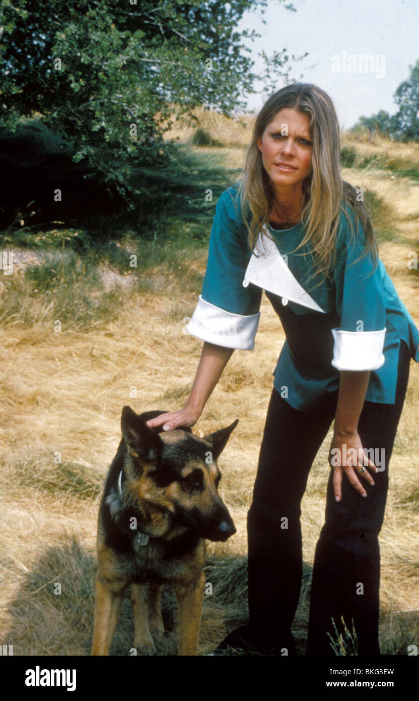 Bionic Woman Tv Show