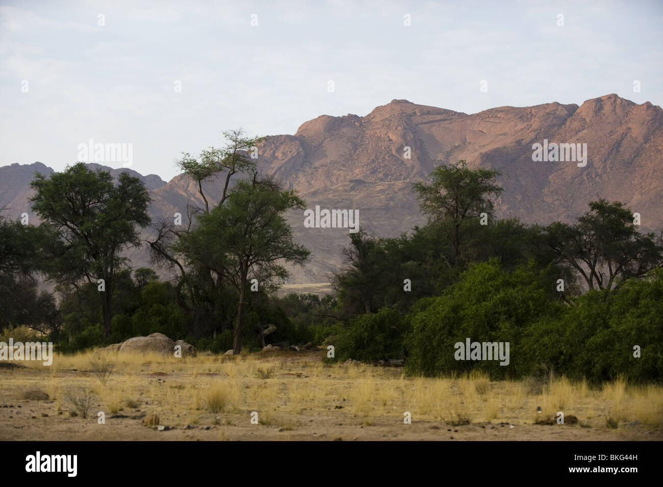 Brandberg mountain hi-res stock photography and images - Alamy