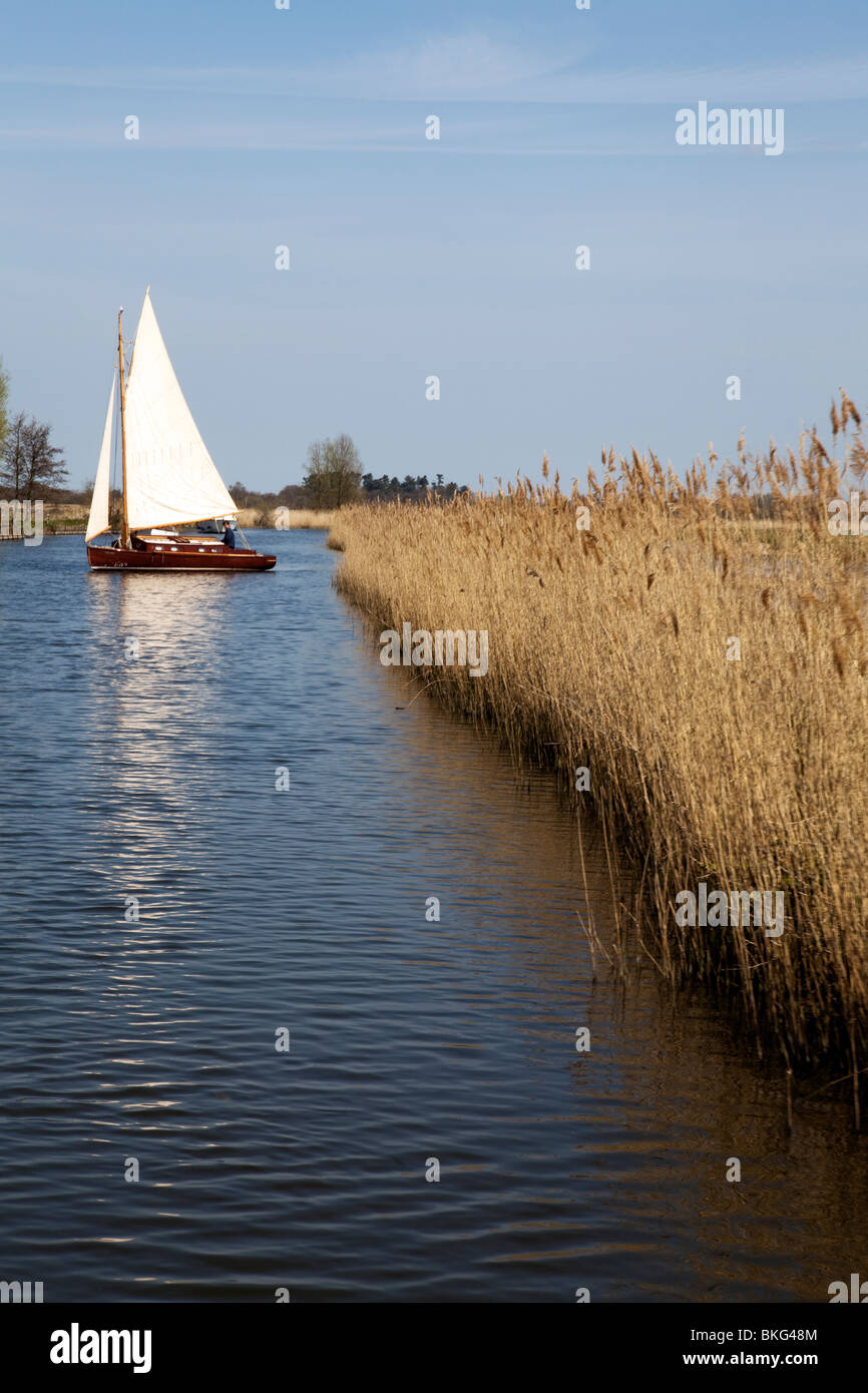 Marsh marshland rushes hi-res stock photography and images - Alamy