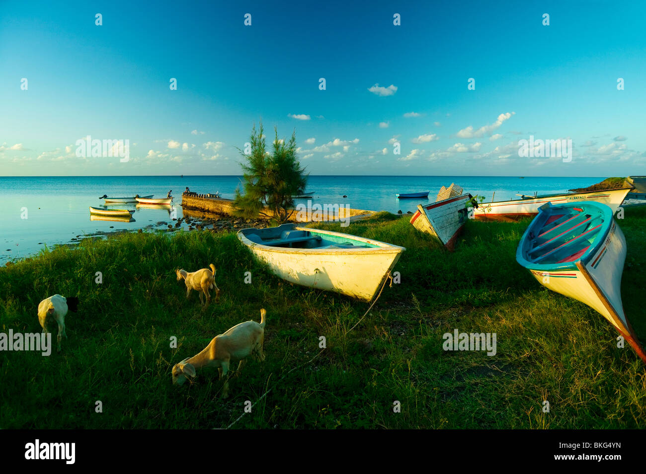 Port mathurin hi-res stock photography and images - Alamy