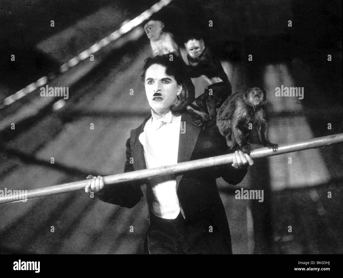 THE CIRCUS (1928) CHARLIE CHAPLIN CIRC 001 Stock Photo - Alamy