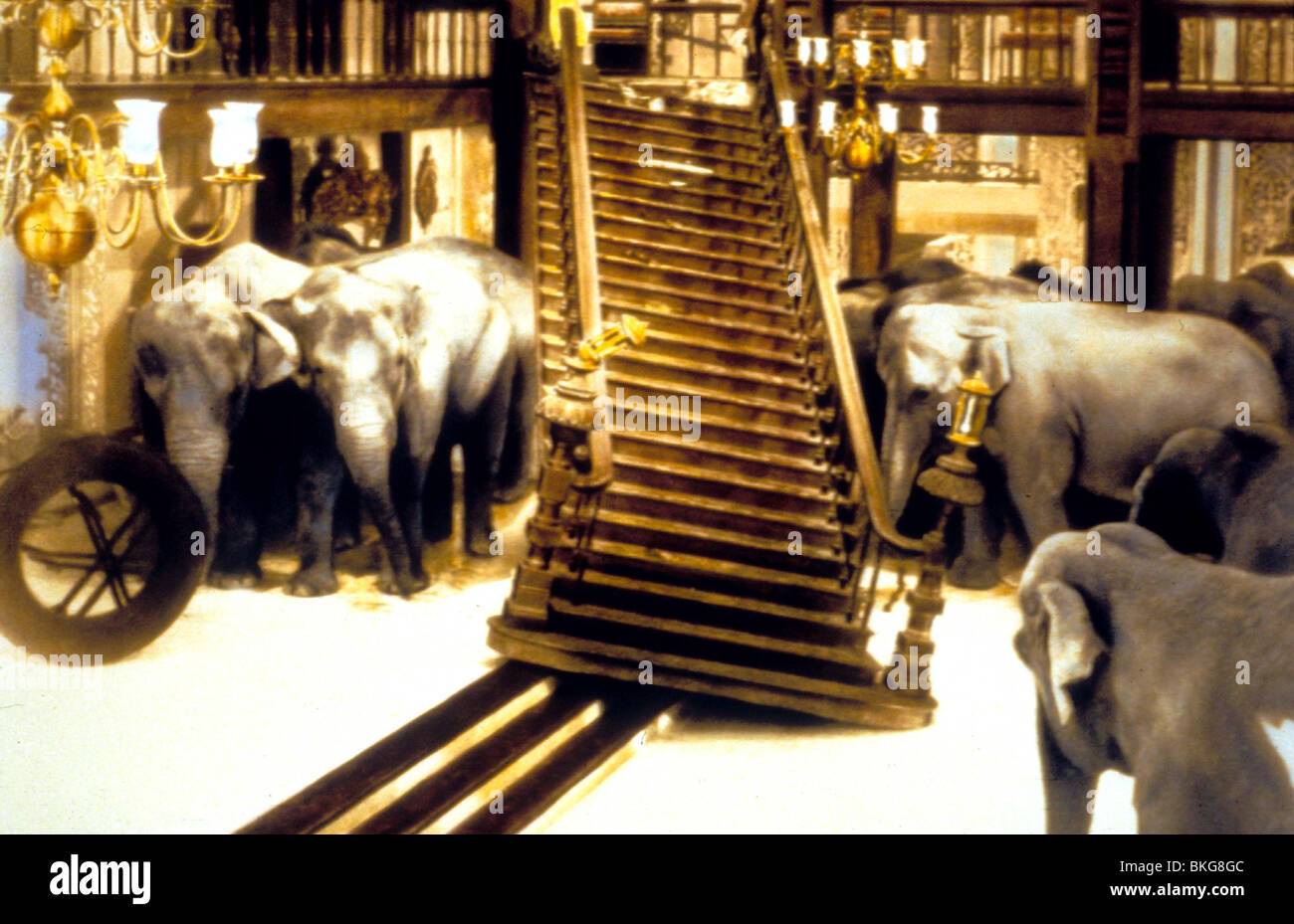 ELEPHANT WALK -1954 Stock Photo - Alamy