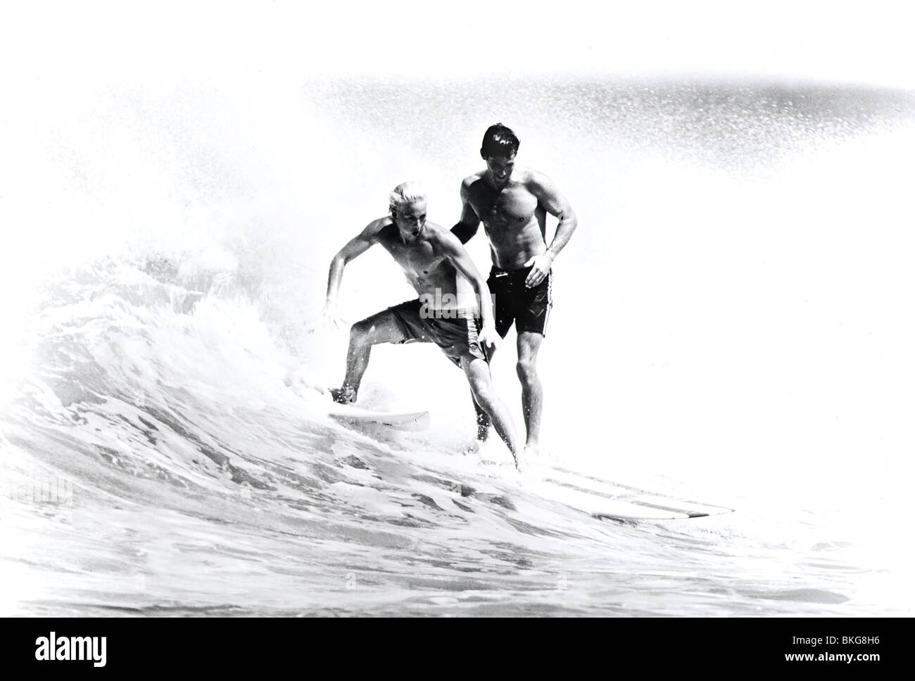 THE ENDLESS SUMMER II (1994) PAT O'CONNELL, ROBERT WEAVER, BRUCE BROWN ...