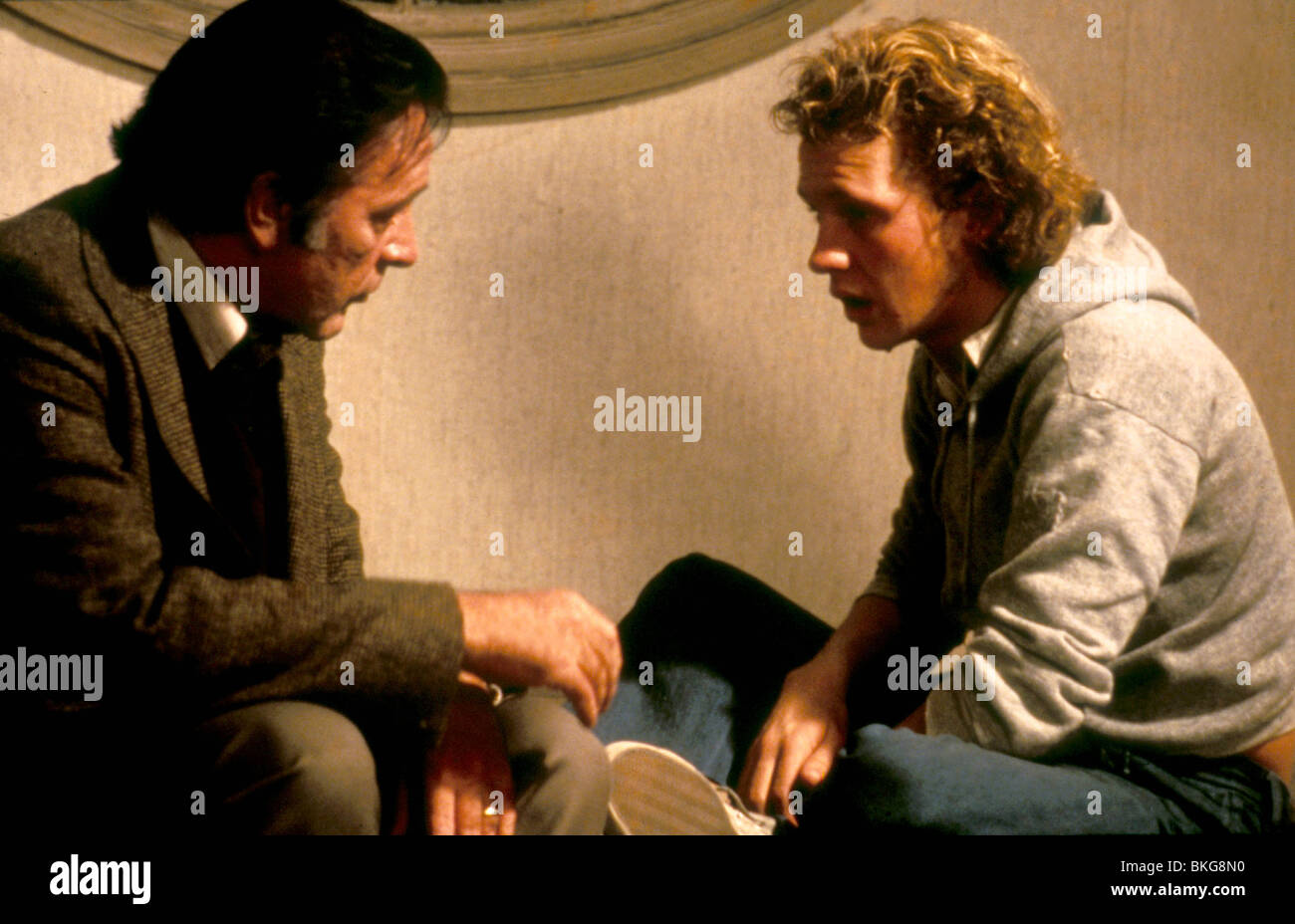 Peter firth equs 006 hi-res stock photography and images - Alamy