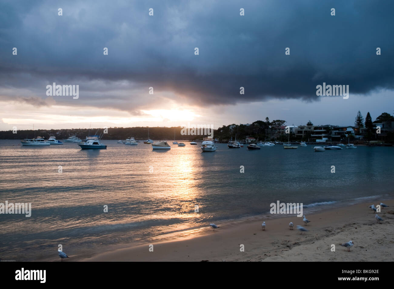 Parsley bay nsw hi-res stock photography and images - Alamy