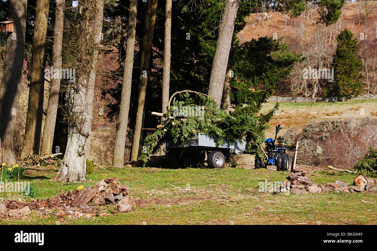 Bcs tractor hi-res stock photography and images - Alamy