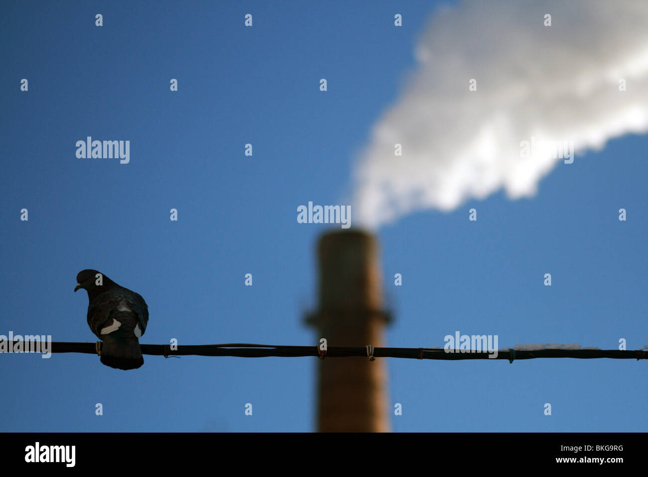 Weak contamination hi-res stock photography and images - Alamy