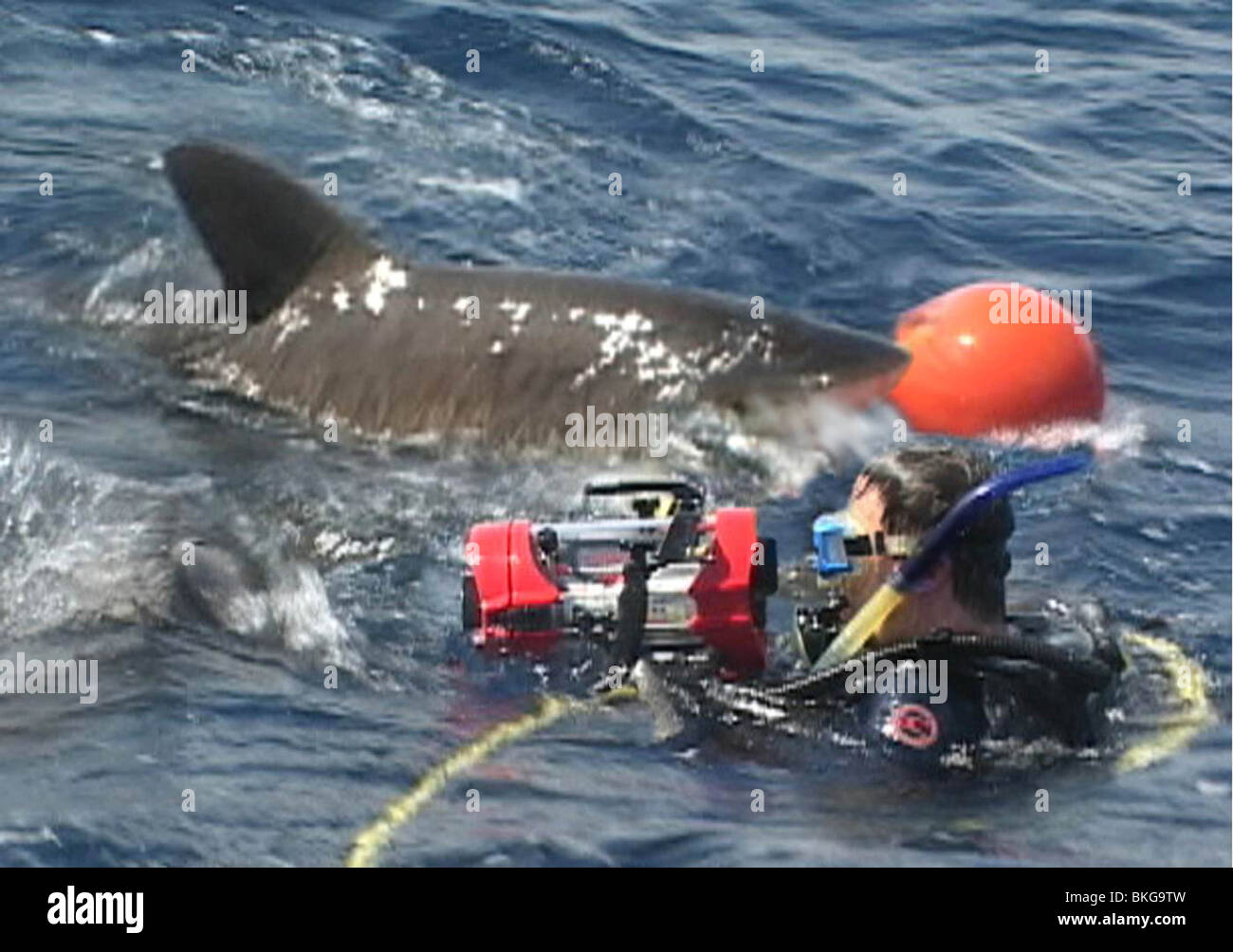 FILMING O/S 'OPEN WATER' (2004) CHRIS KENTIS OPWT 001-F18 Stock Photo ...