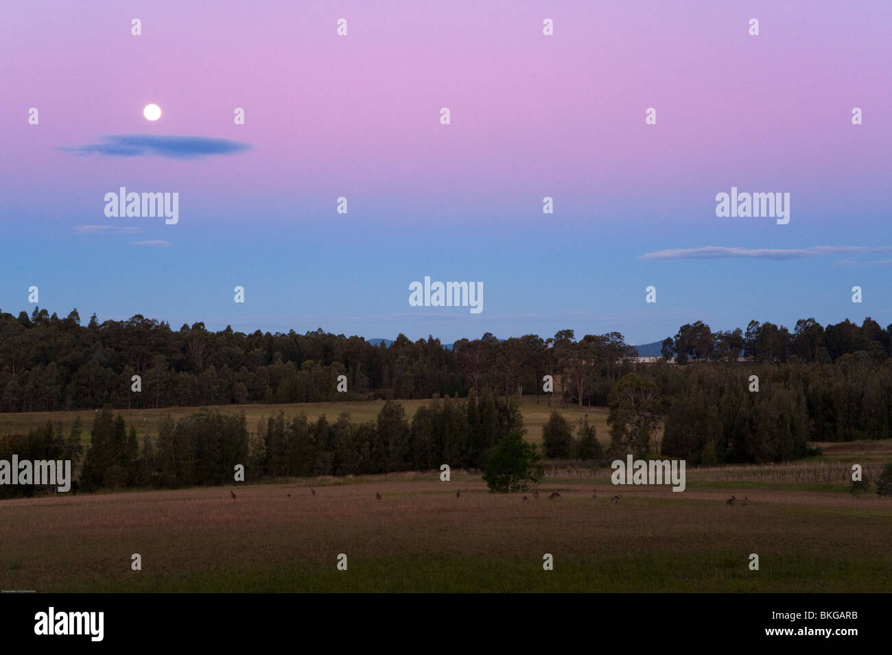 Hunter valley nsw australia hi-res stock photography and images - Alamy