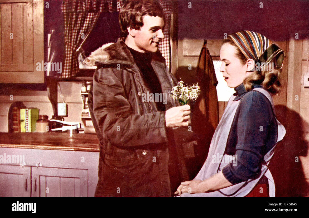 Sandy Dennis High Resolution Stock Photography and Images - Alamy