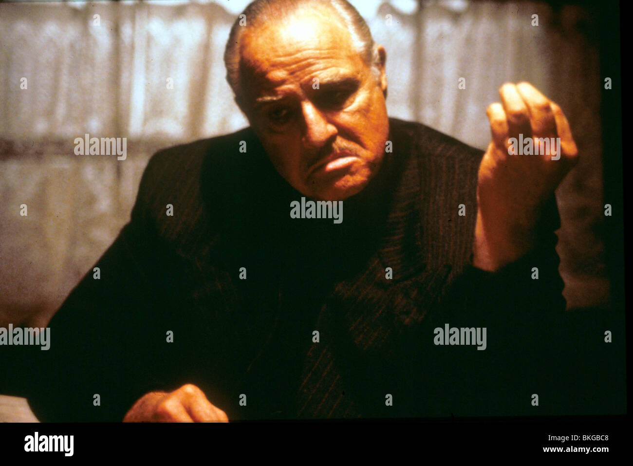 The Freshman 1990 Film