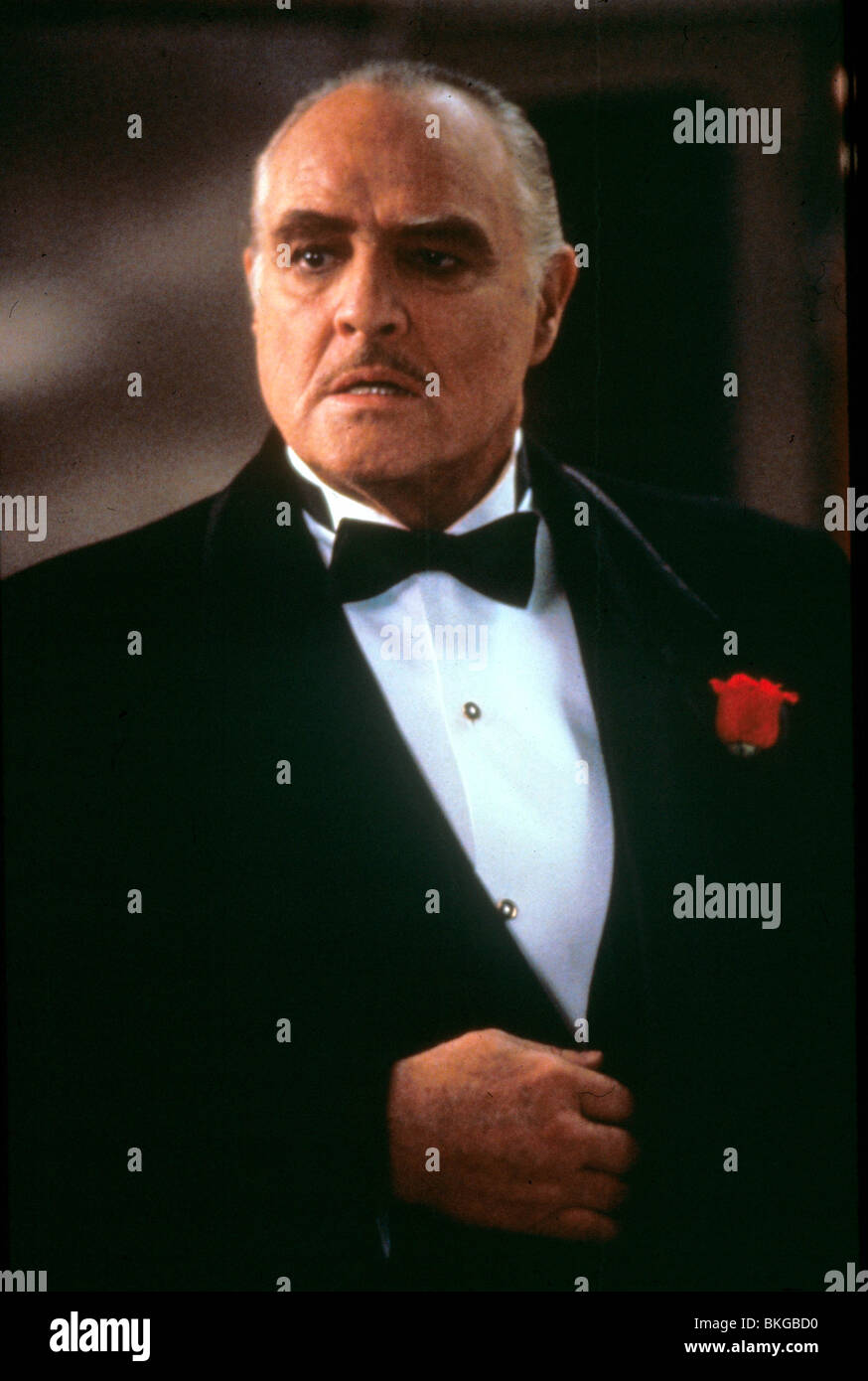 The freshman film hi-res stock photography and images - Alamy