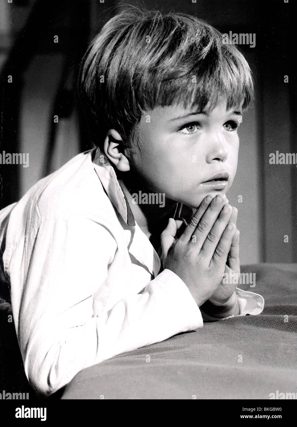 Gentle Ben Africa From Usa