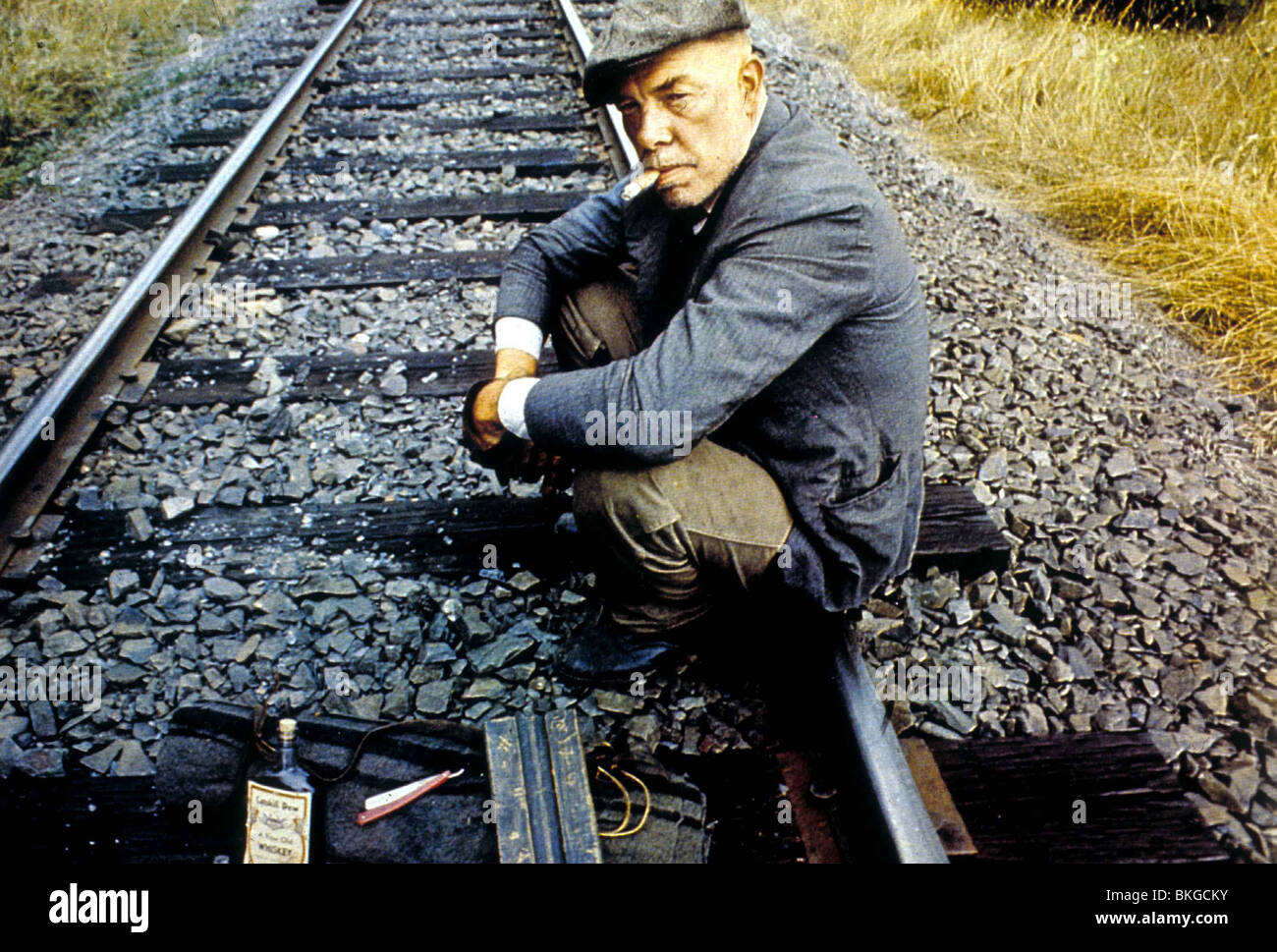 GRAY LADY DOWN -1978 RONNY COX Stock Photo - Alamy