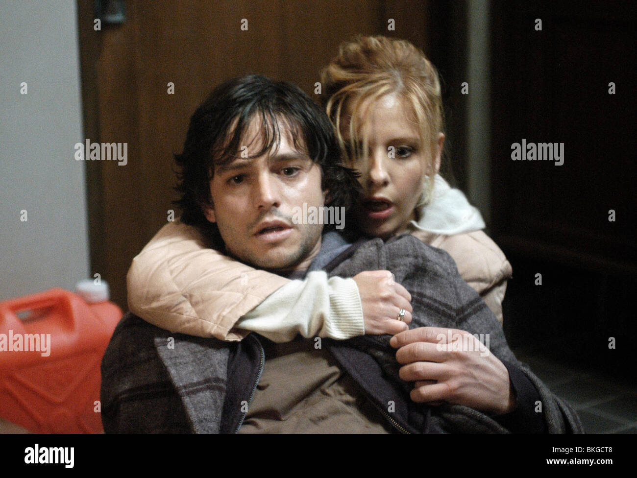 The Grudge 2004 Jason Behr Sarah Michelle Gellar Grud 001 Gu Stock