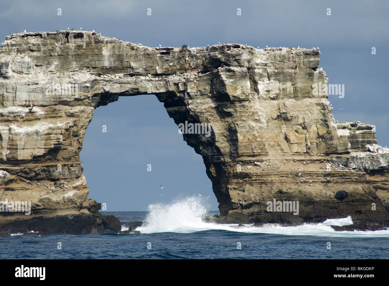 Darwins arch hi-res stock photography and images - Alamy