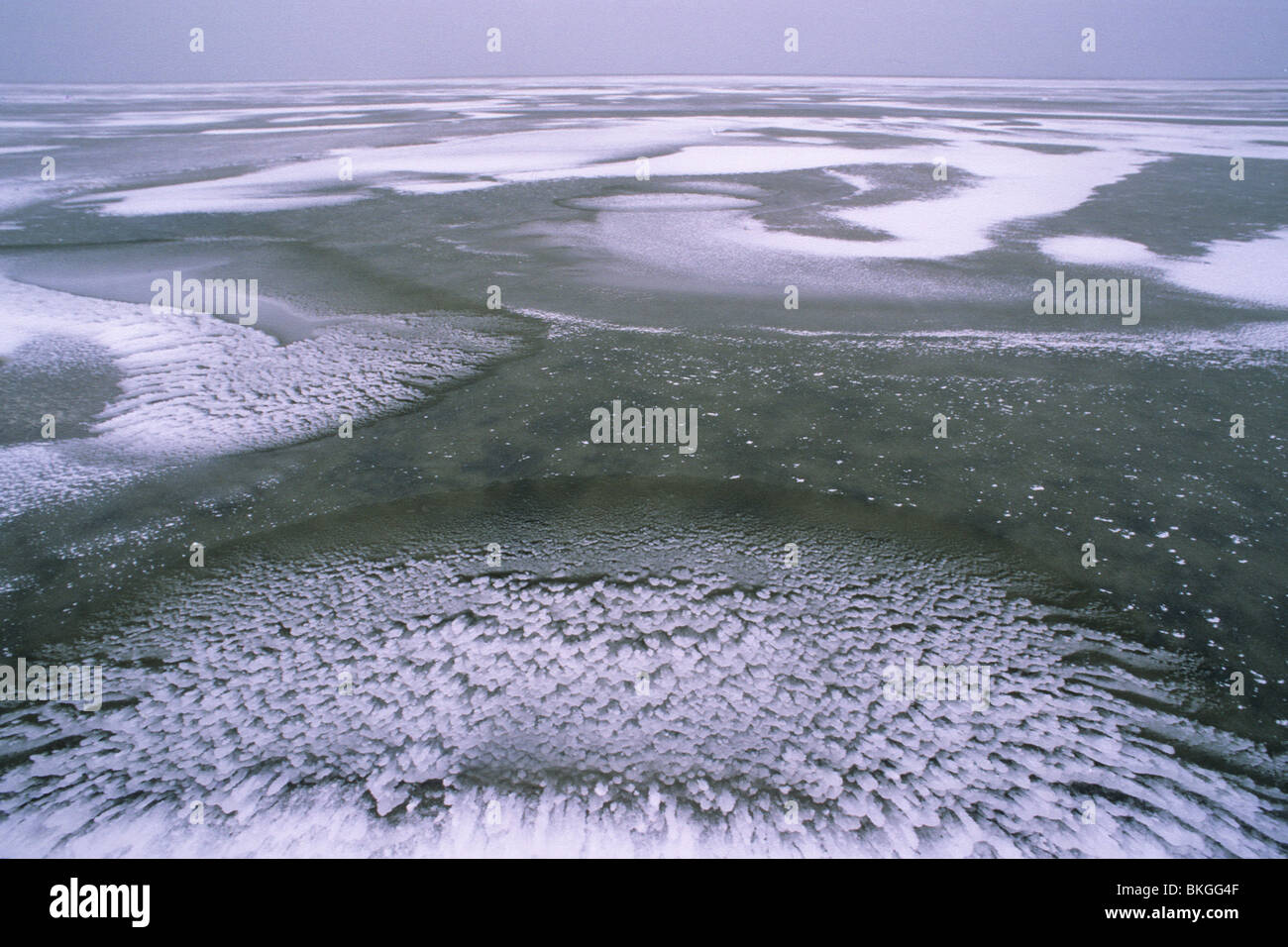 Nationaal park schiermonnikoog hi-res stock photography and images - Alamy