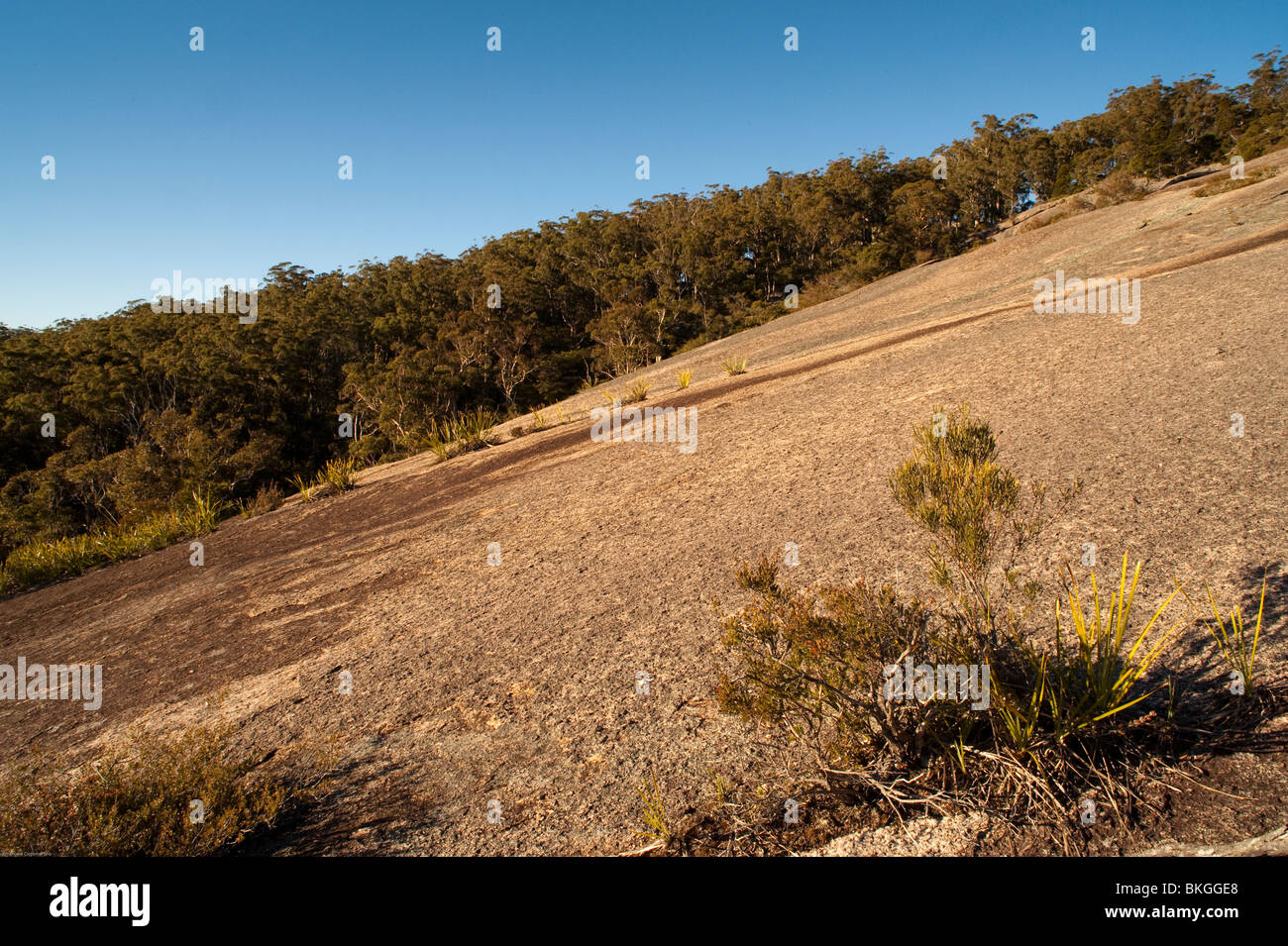 Bald Rock, Tenterfield, New South Wales, Australia Stock Photo - Alamy