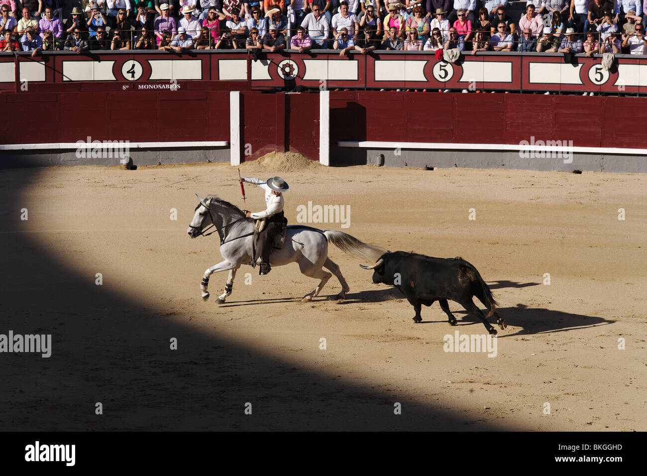 Bullfight (Corrida de Toros), Las Ventas bullring, Madrid, Spain Stock ...