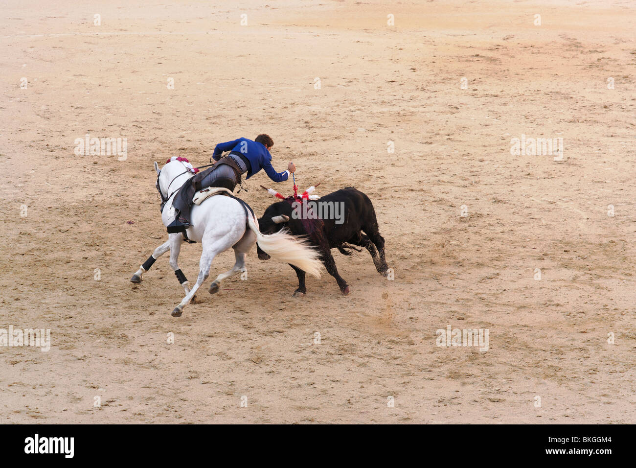 Bullfight (Corrida de Toros), Las Ventas bullring, Madrid, Spain Stock ...