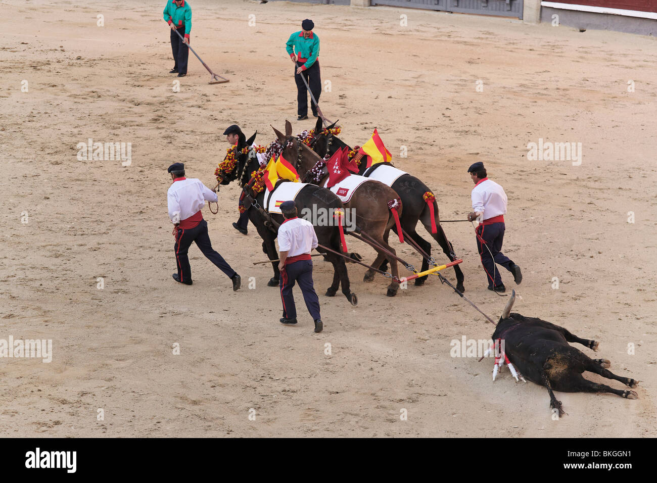 Bullfight (Corrida de Toros), Las Ventas bullring, Madrid, Spain Stock ...
