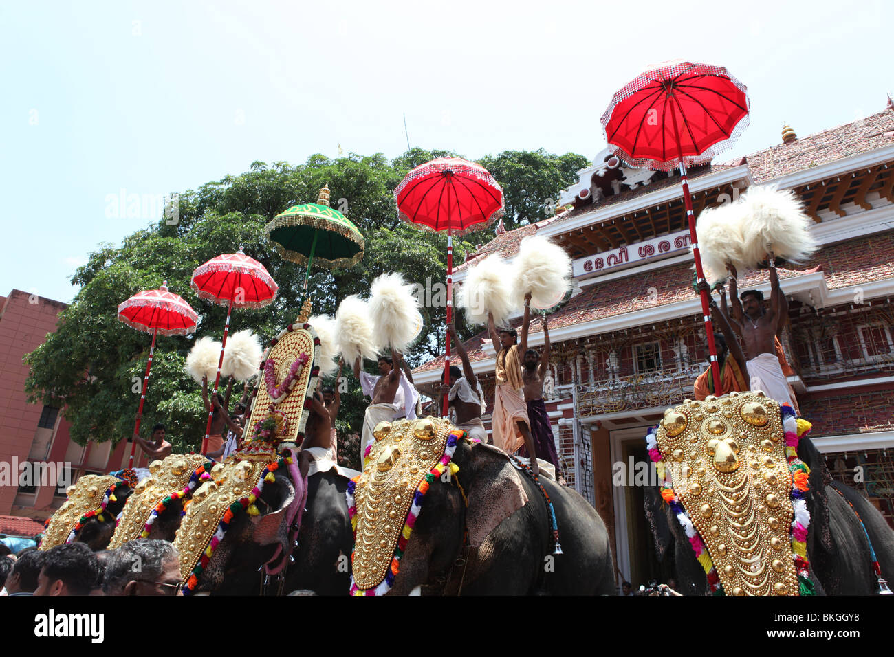 Crowd thrissur pooram hi-res stock photography and images - Alamy