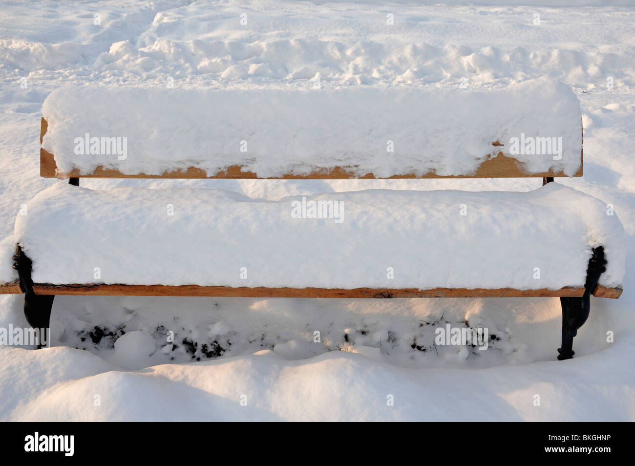 Snow covered park bench Stock Photo - Alamy