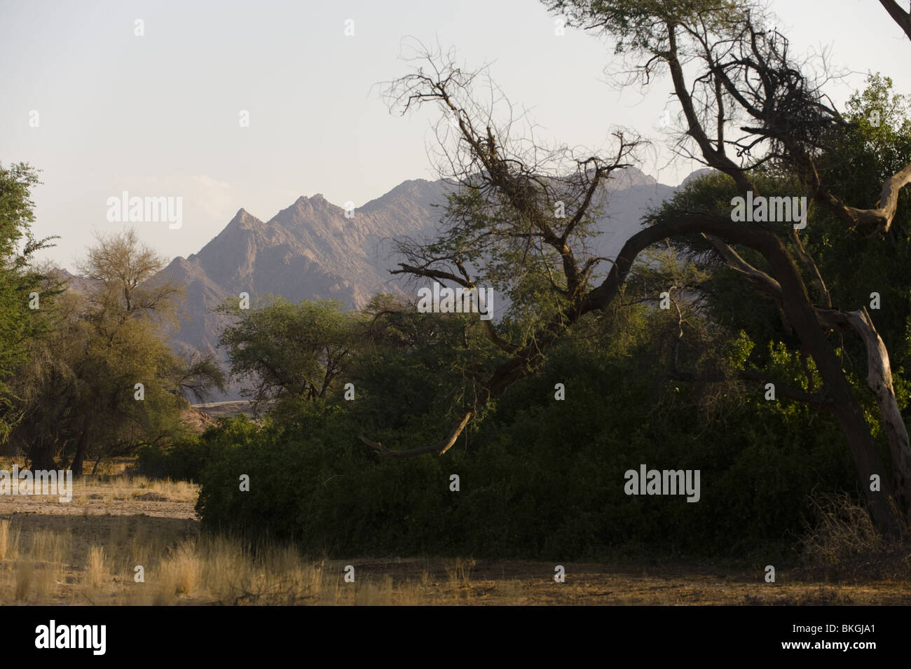 Brandberg mountain hi-res stock photography and images - Alamy