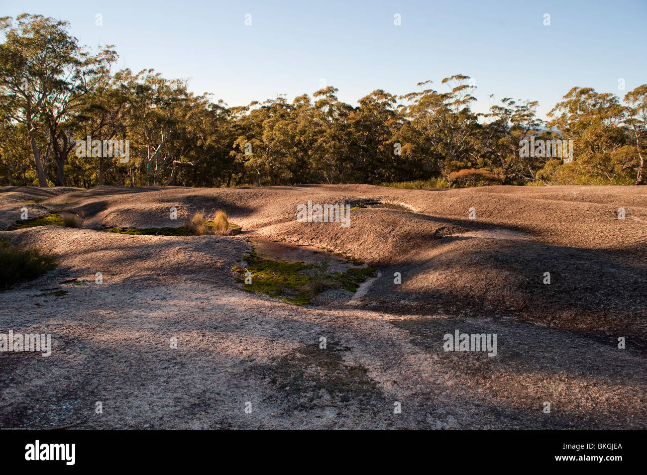 Tenterfield australia hi-res stock photography and images - Alamy