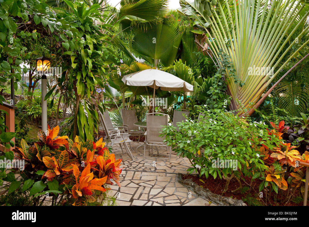 The tropical gardens at the Lazy Parrot hotel in Rincon, Puerto Rico ...