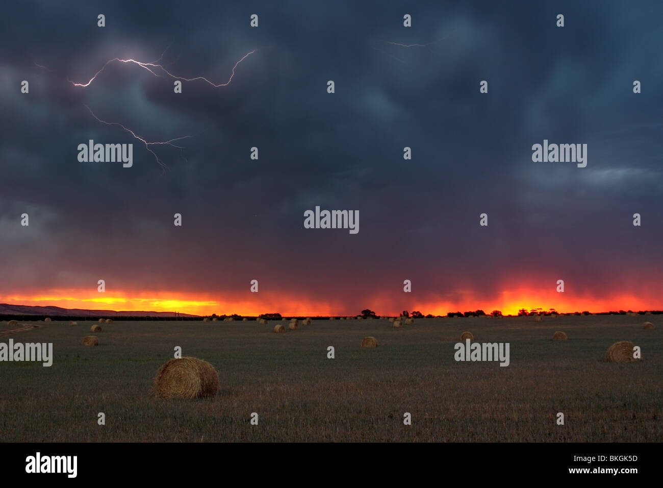 Lightning storm at sunset over open land in Australia Stock Photo - Alamy