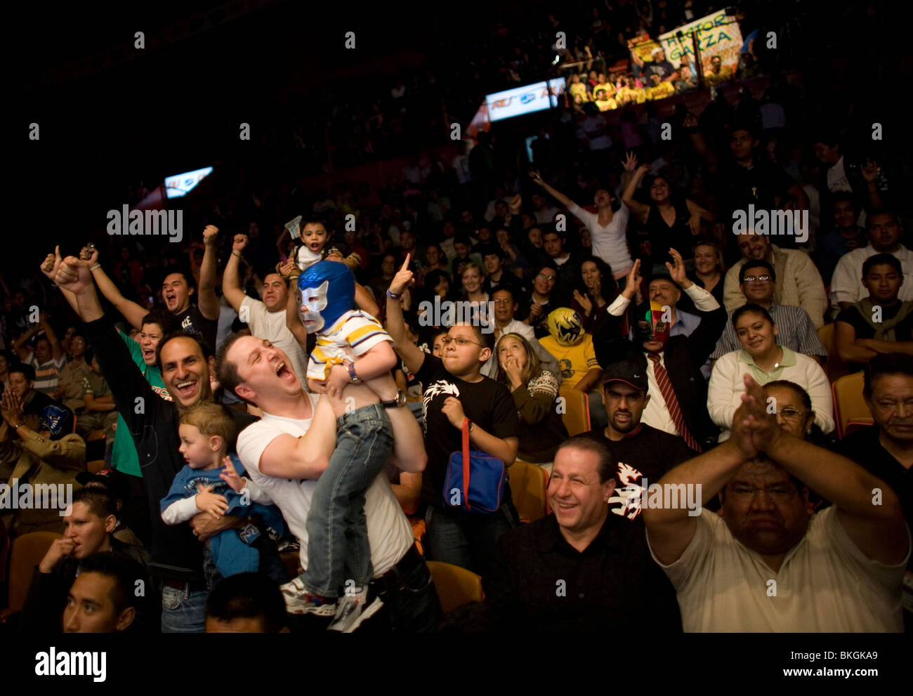 Fight fans mexico hi-res stock photography and images - Alamy