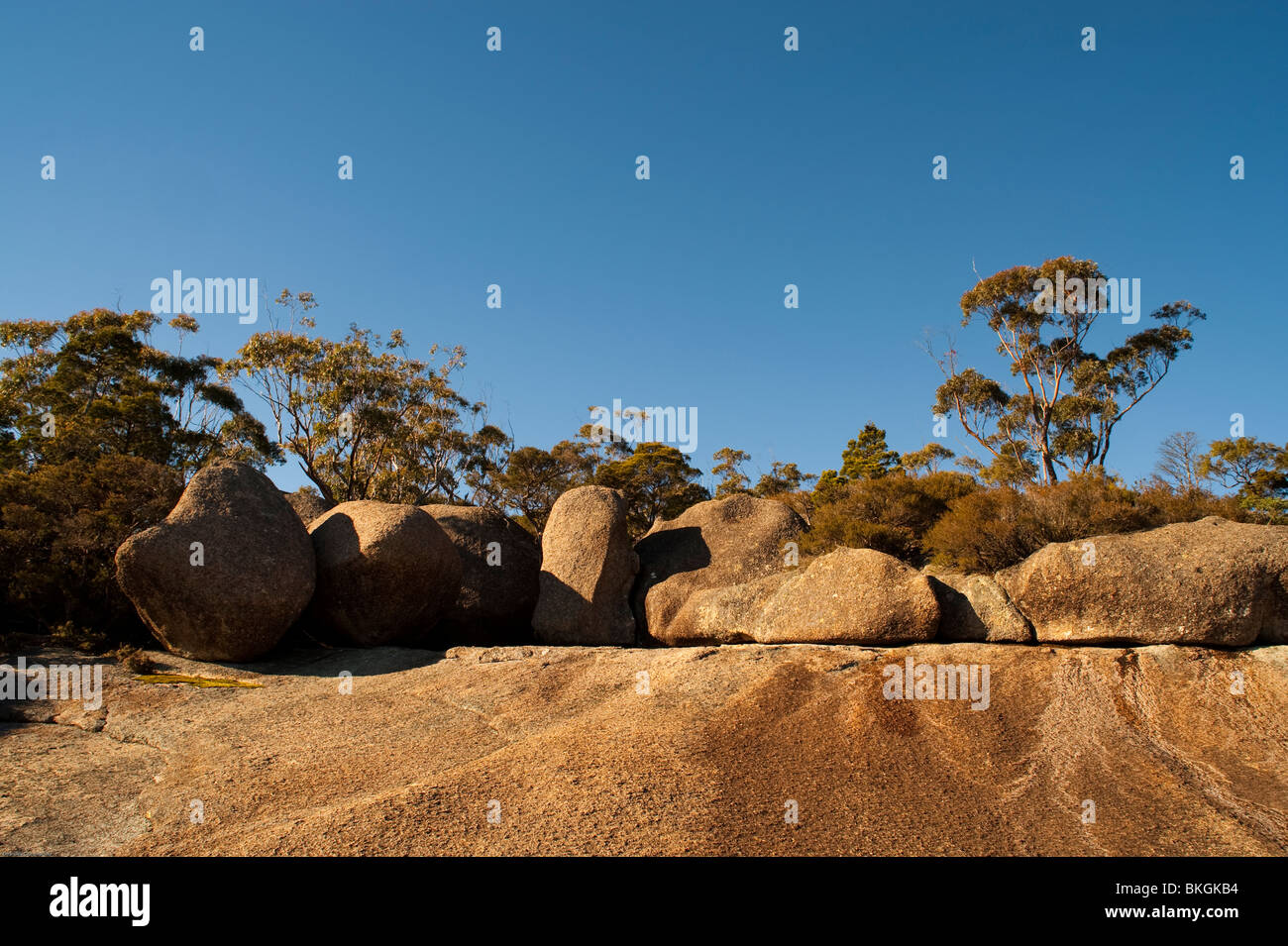 Tenterfield australia hi-res stock photography and images - Alamy