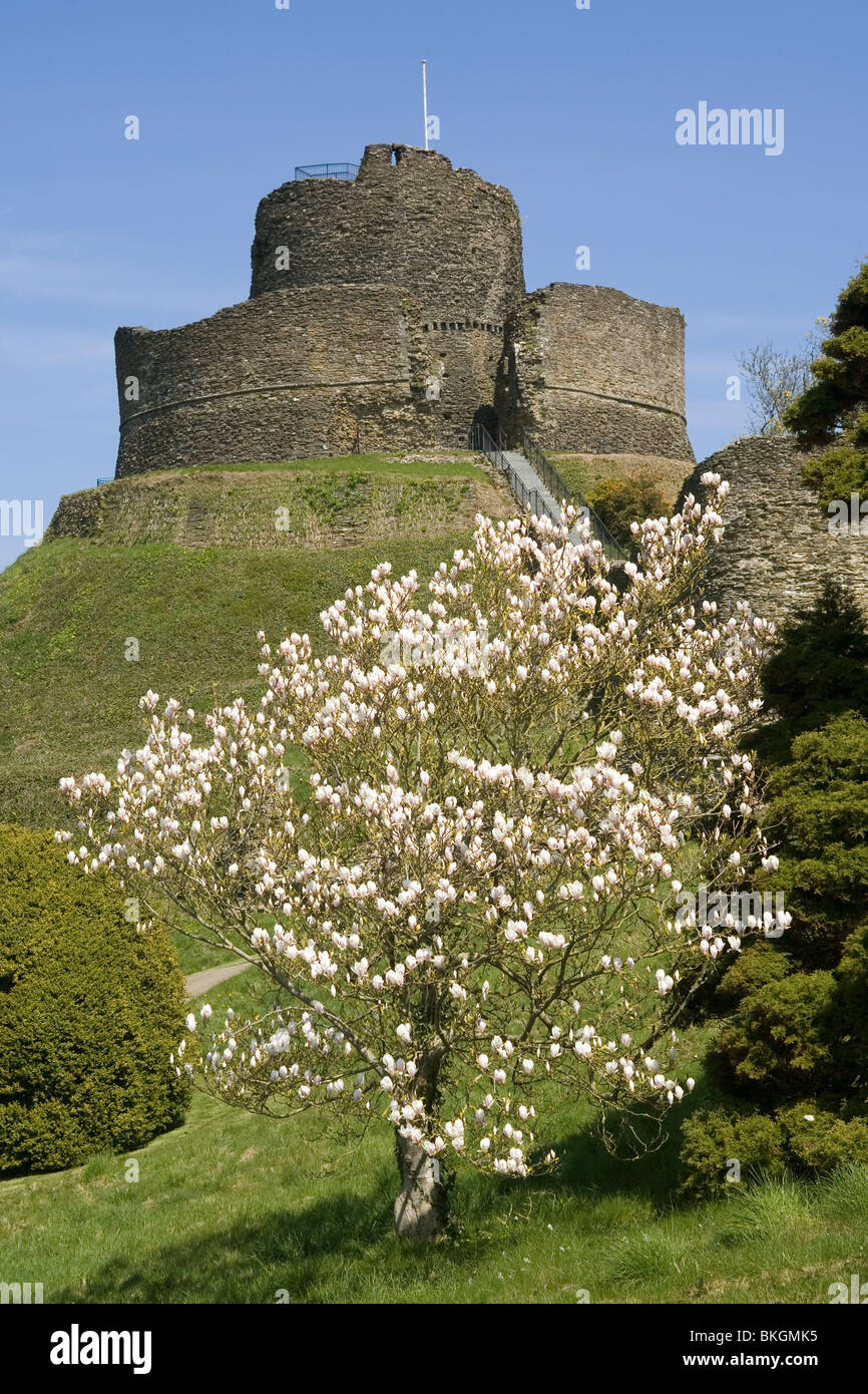 Launceston castle hi-res stock photography and images - Alamy