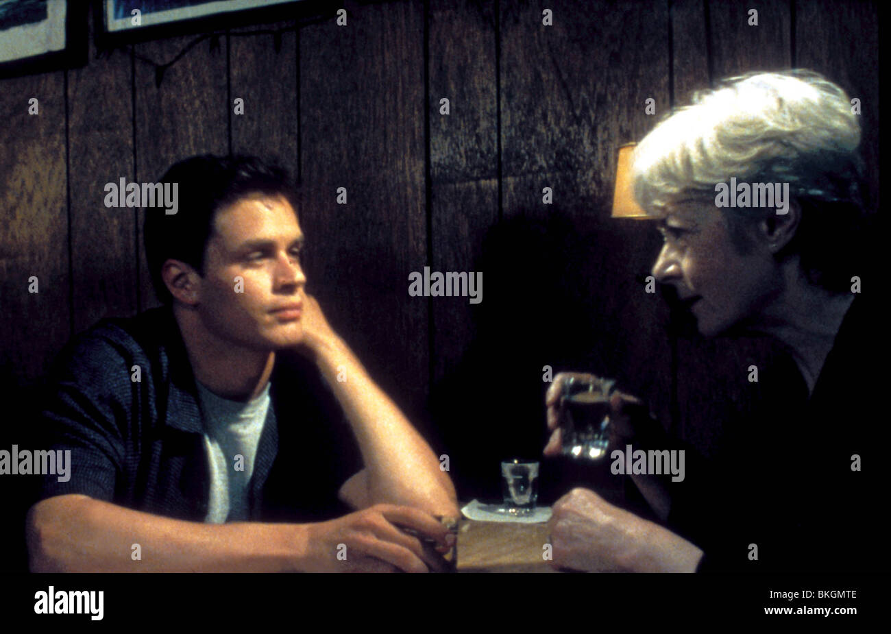 THE LOVE LETTER (1999) TOM EVERETT SCOTT, GERALDINE MCEWAN LOLE 008 Stock Photo - Alamy