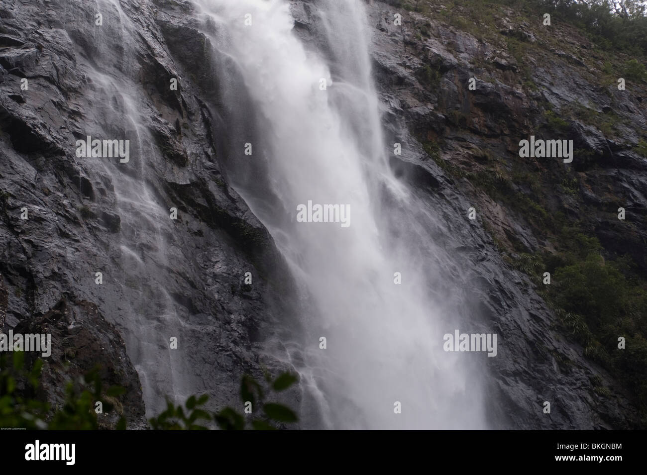 Ellenborough Falls, Elands, New South Wales, Australia Stock Photo - Alamy