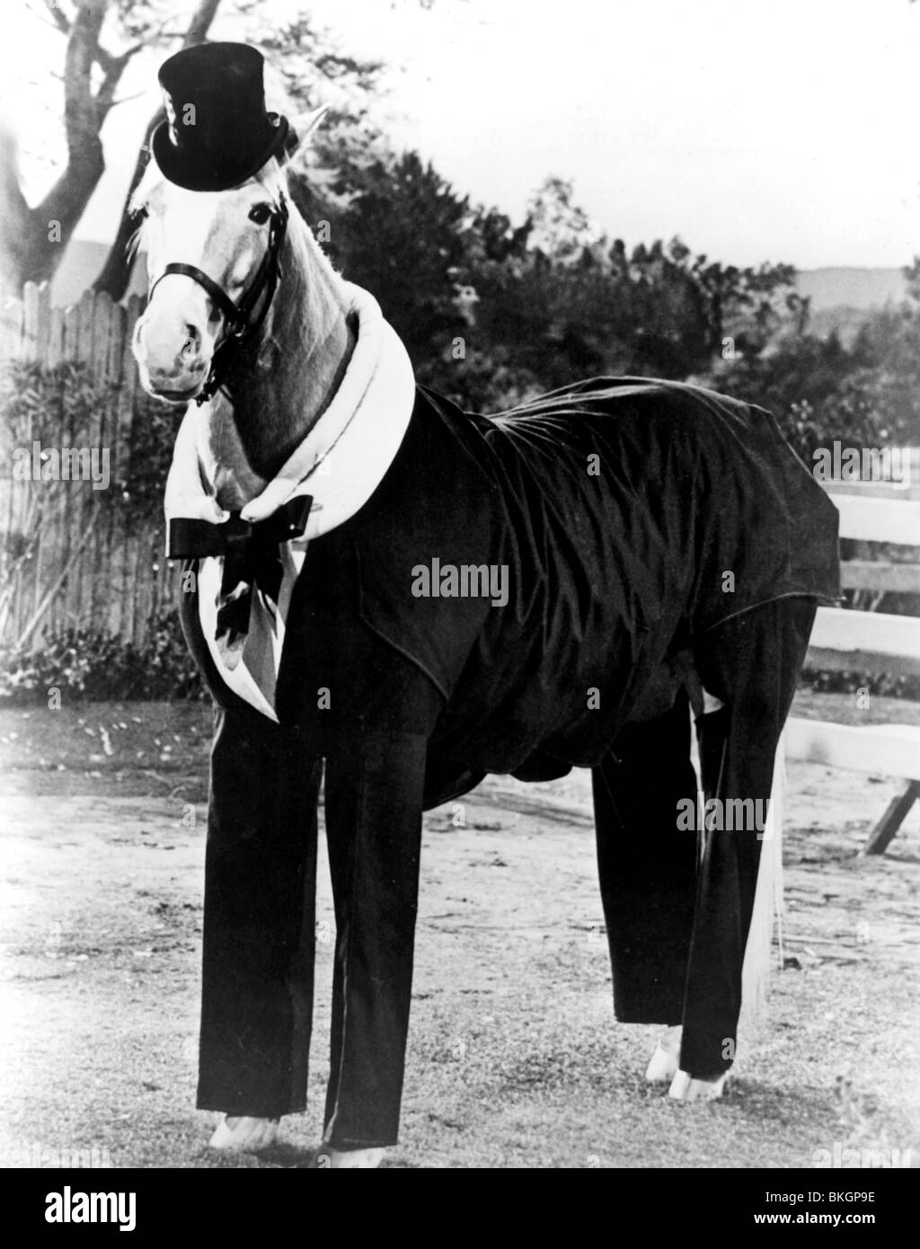 MISTER ED (TV Stock Photo - Alamy