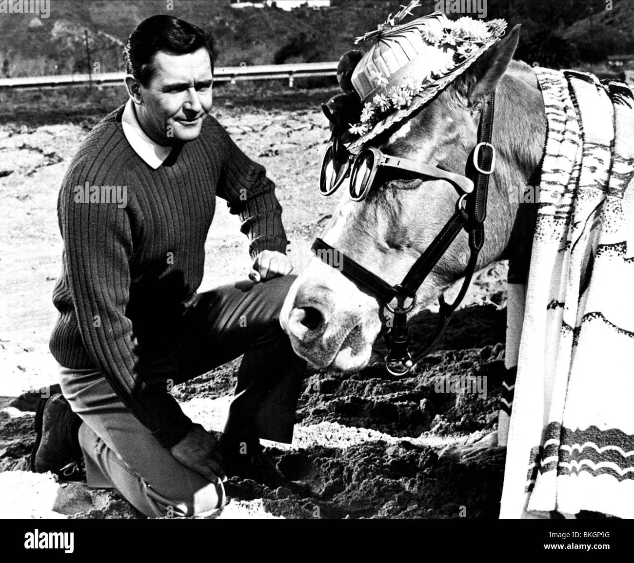 001pp hi-res stock photography and images - Alamy