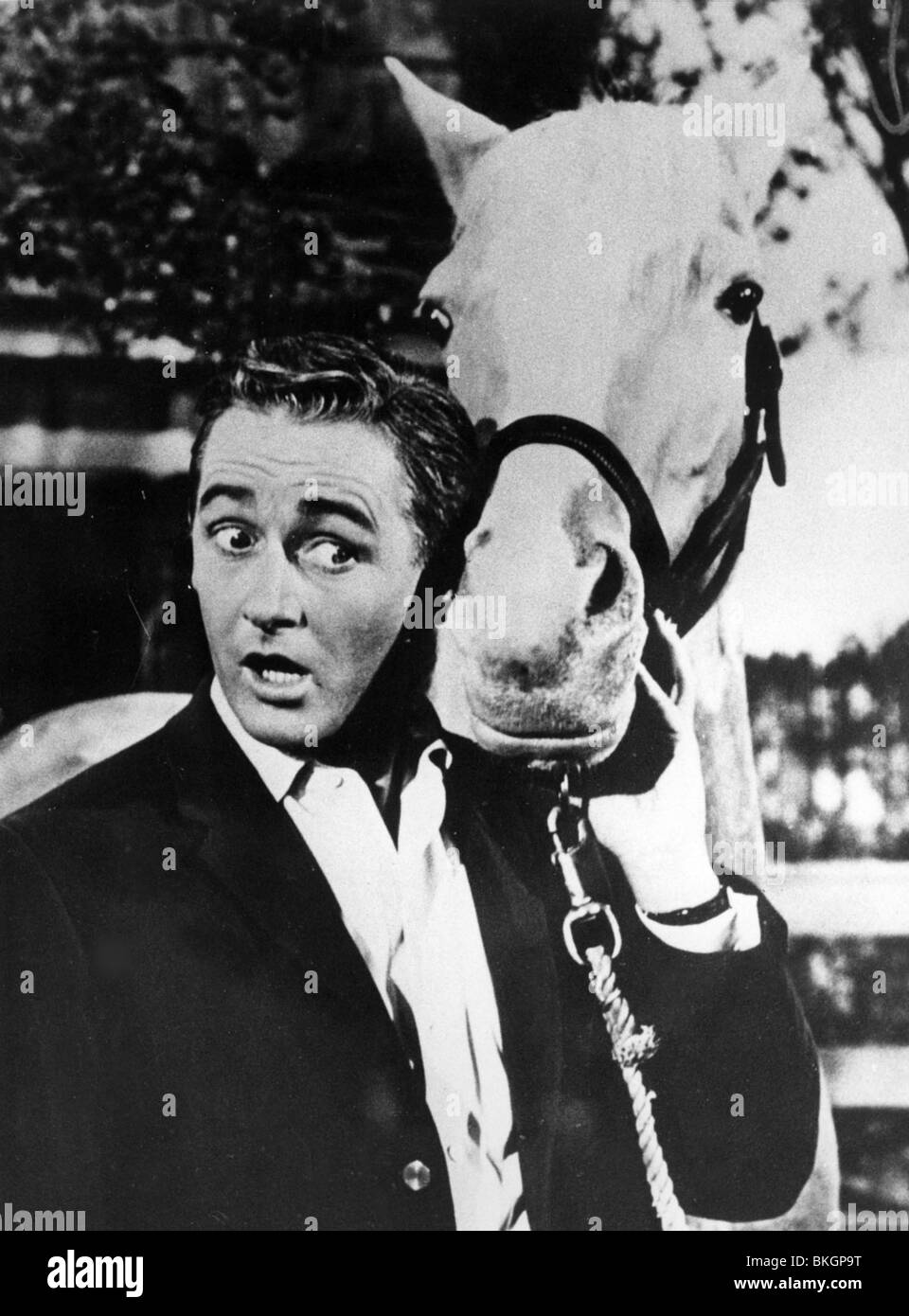 Mr ed tv hi-res stock photography and images - Alamy