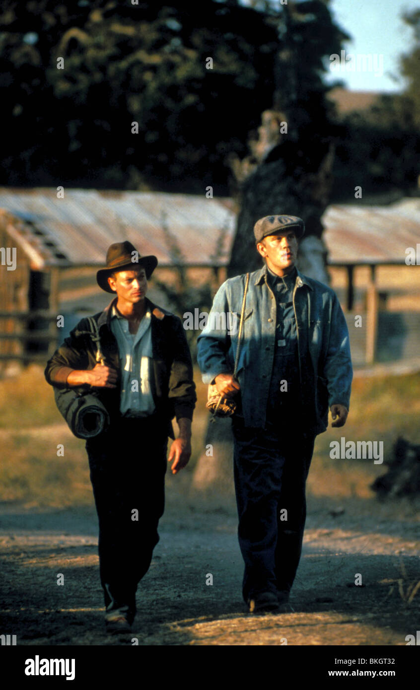 John malkovich mam 052 moviestore collection ltd hi-res stock photography and images - Alamy