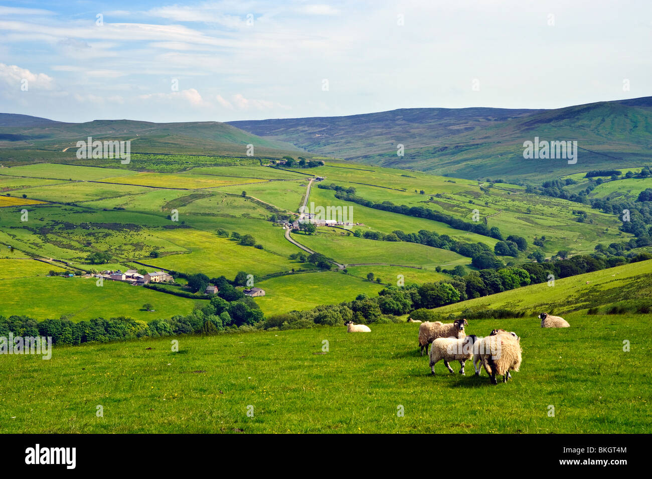 Roeburndale hi-res stock photography and images - Alamy