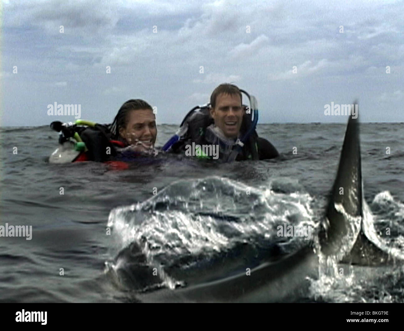 Open Water 2003