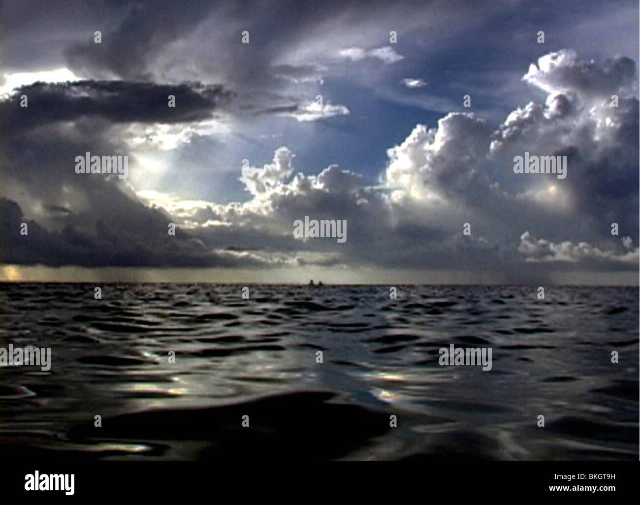 OPEN WATER -2004 Stock Photo - Alamy
