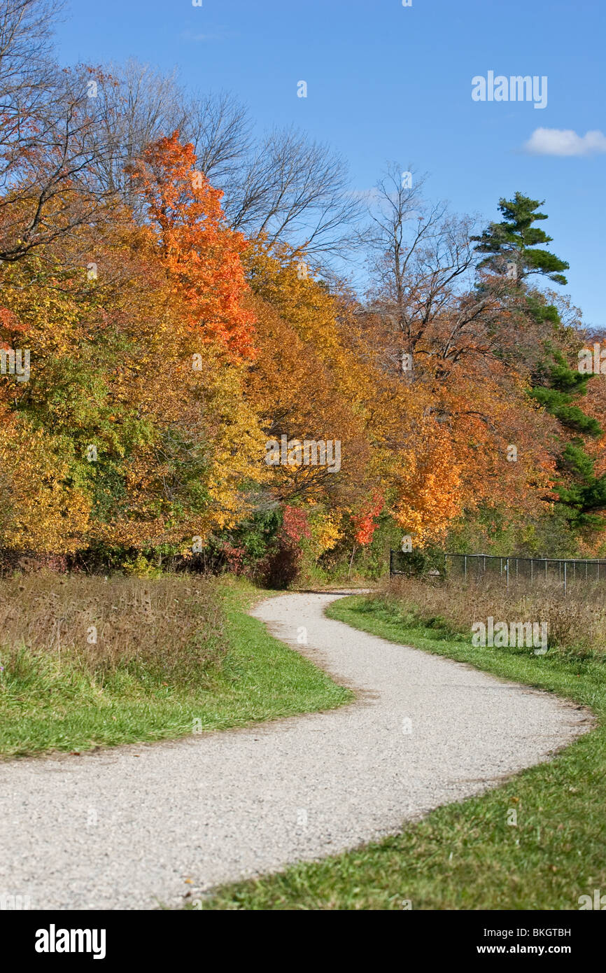 A winding walking path, surrounded by colorful trees in the autumn ...